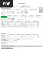 Registro Formato 8a | Pdf