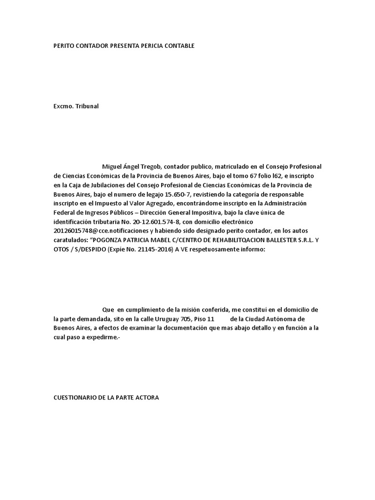 Informe de Pericia Contable | PDF | Contador | Contabilidad