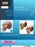 Anatomía y Funciones del Músculo Masetero | PDF | Anatomía | Cabeza y ...