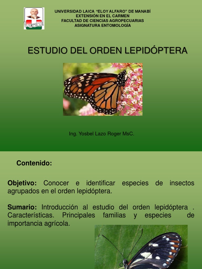 CLASE ORDEN LEPIDOPTERA-1531175603.pdf | Lepidópteros | Zoología