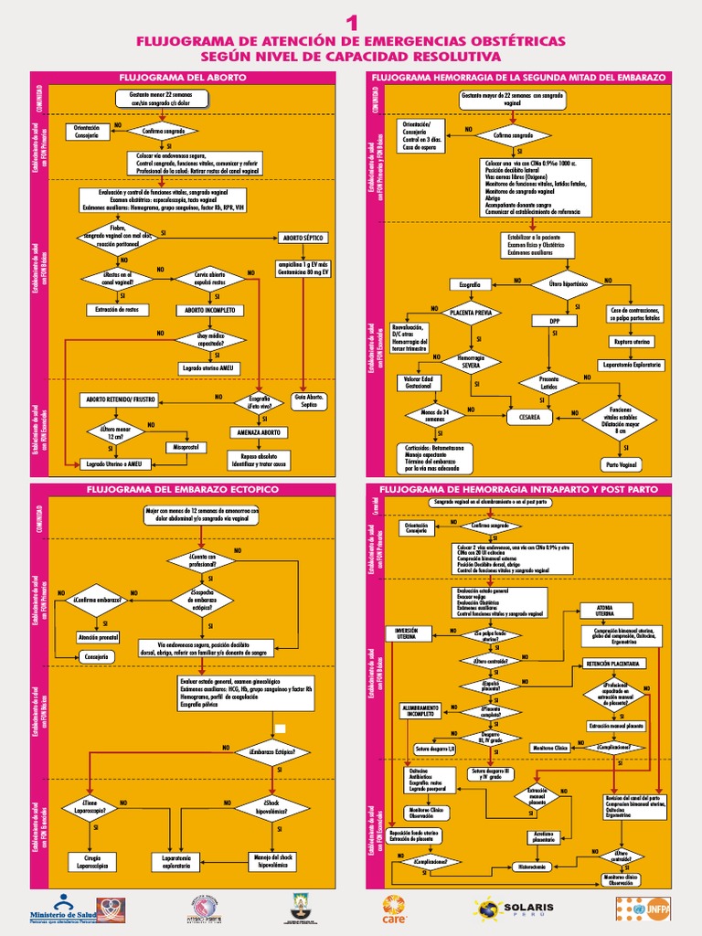 Flujograma de Emergencias Obstetricas Segun Capacidad Resolutiva PDF | PDF | El embarazo | Parto