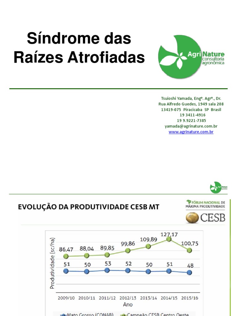 Sindrome Das Raízes Atrofiadas Final PDF | PDF | Micronutriente | Soja
