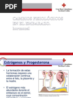 Lactogénesis y Lactopoyesis | PDF | Lactancia | Pecho