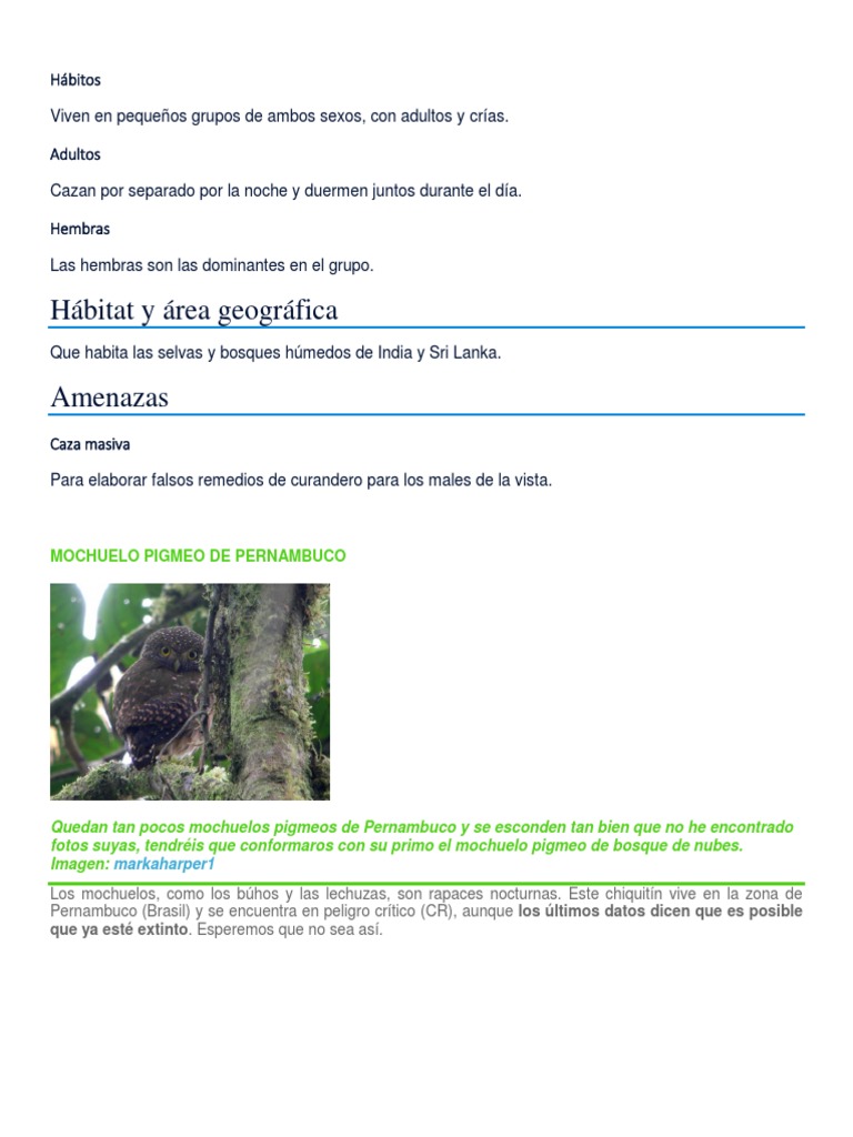 Animales Nocturnos Parte 2 | PDF | Naturaleza