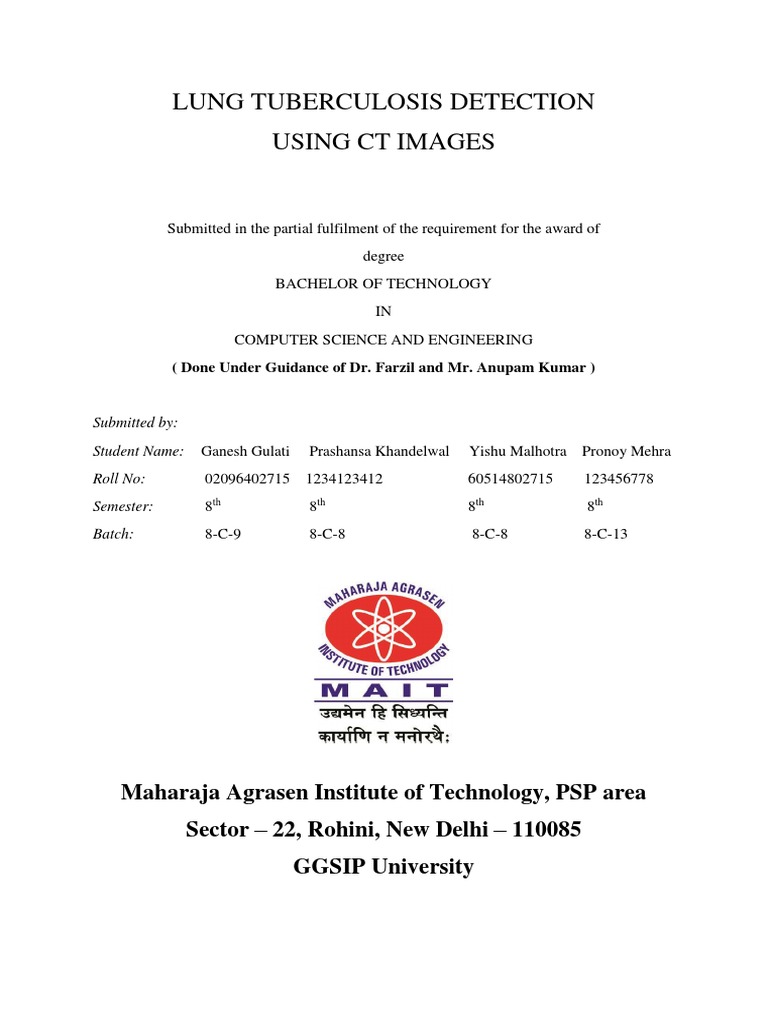 Lung Tuberculosis Detection Using CT Images | PDF | Deep Learning ...