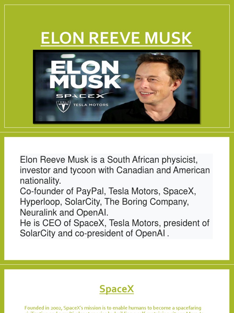 Elon Musk | PDF