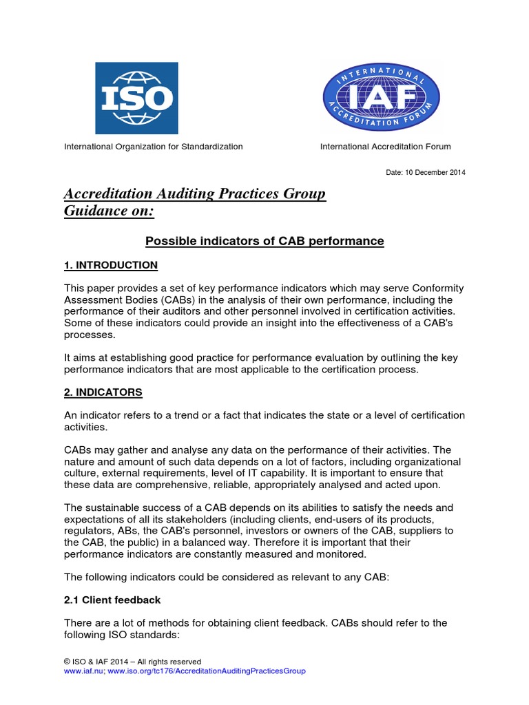 Performance Indicator | PDF | Performance Indicator | Audit