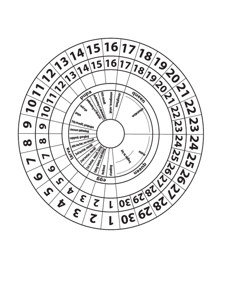 Queen Rearing Wheel | PDF | Insects | Hexapoda