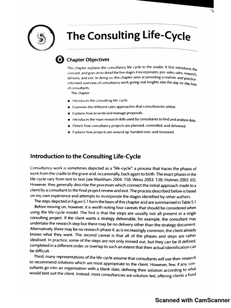 Consulting Life Cycle | PDF