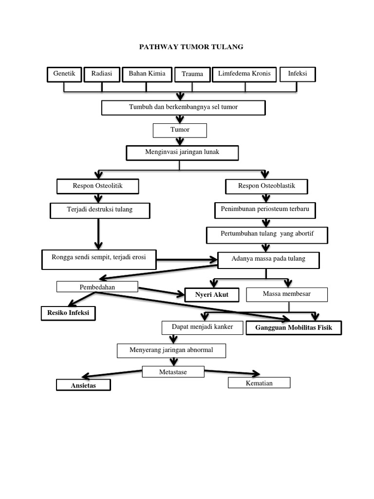 Pathway Tumor Tulang | PDF