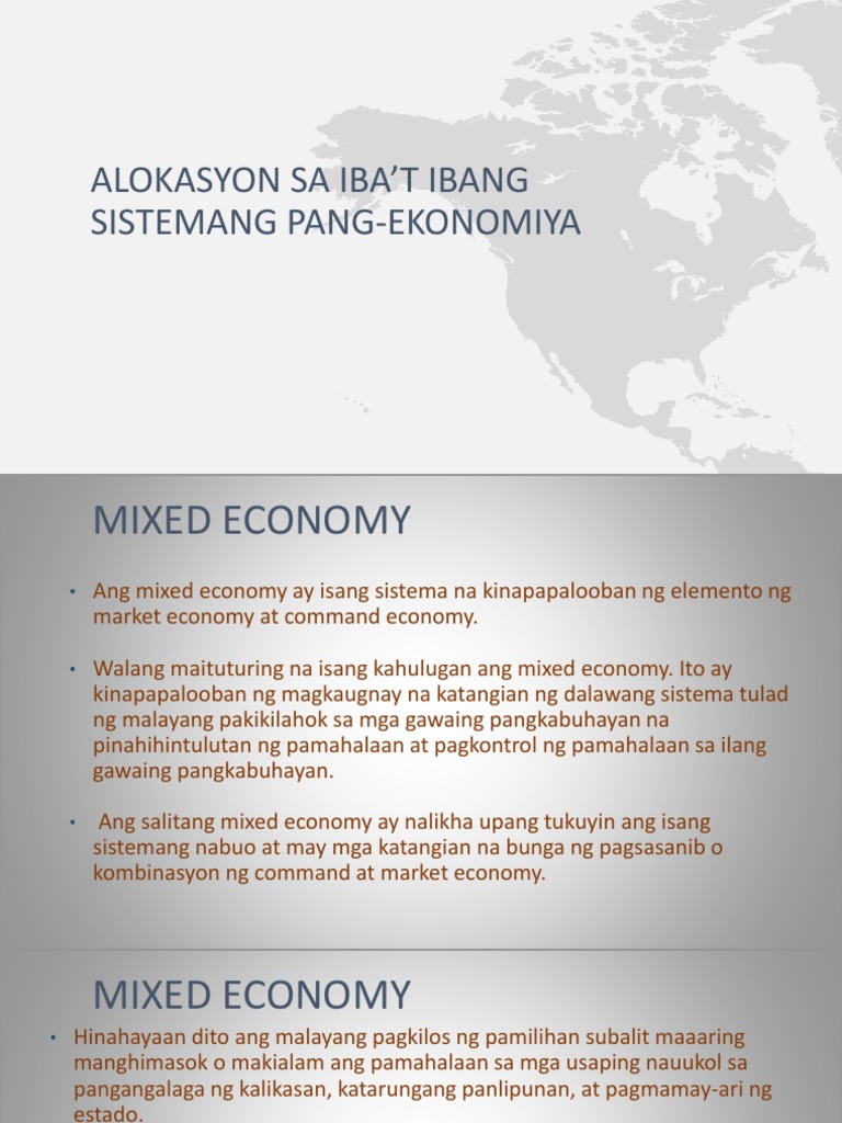Mixed Economy Report | PDF