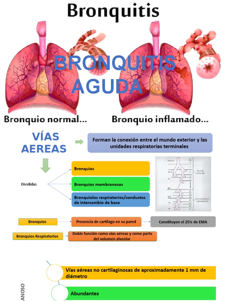 BRONQUITIS AGUDA Unido | PDF | Tos | Pulmón