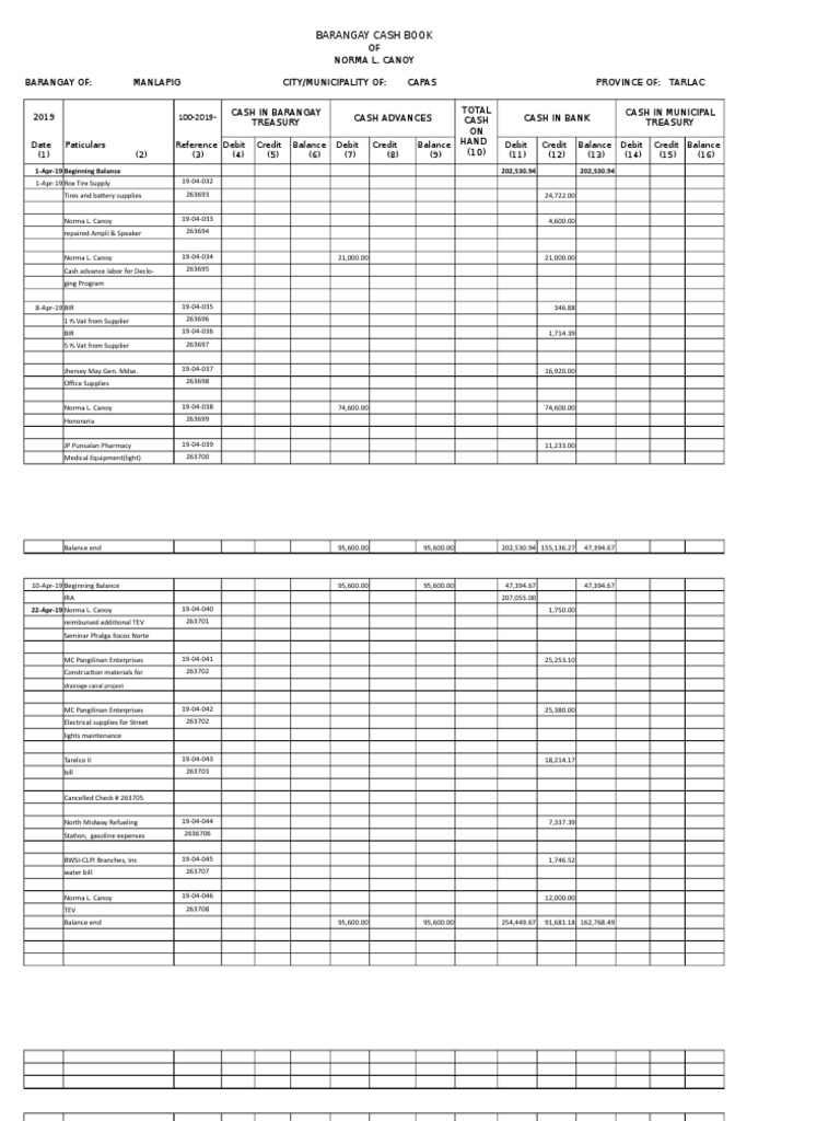 Brgy. Cash Book, 2019 | PDF | Debits And Credits | Business Economics