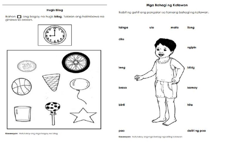 w5 Bahagi NG Katawan | PDF