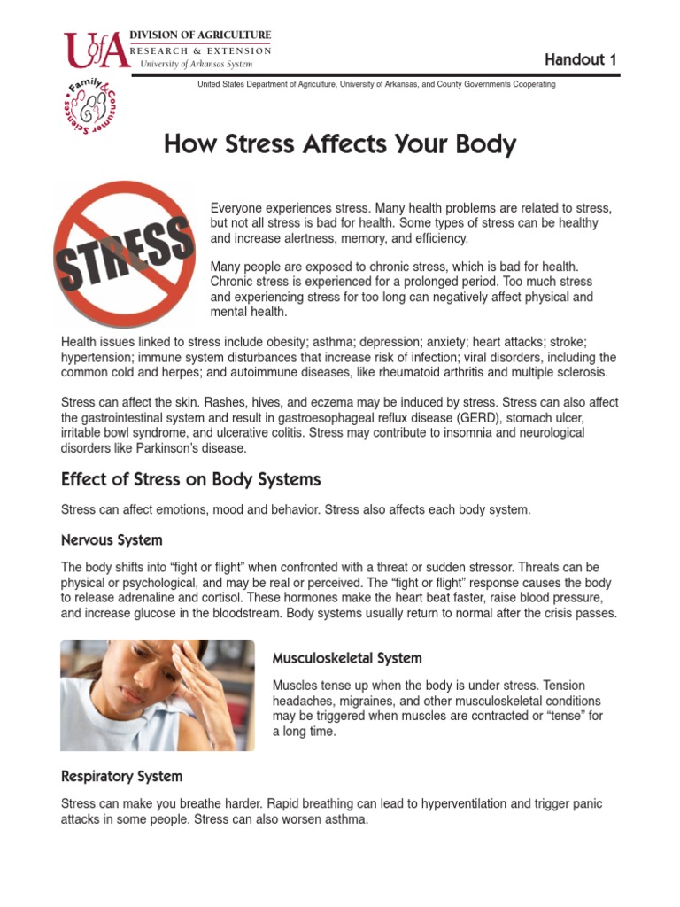 Stress Your Body | PDF | Stress (Biology) | Cortisol