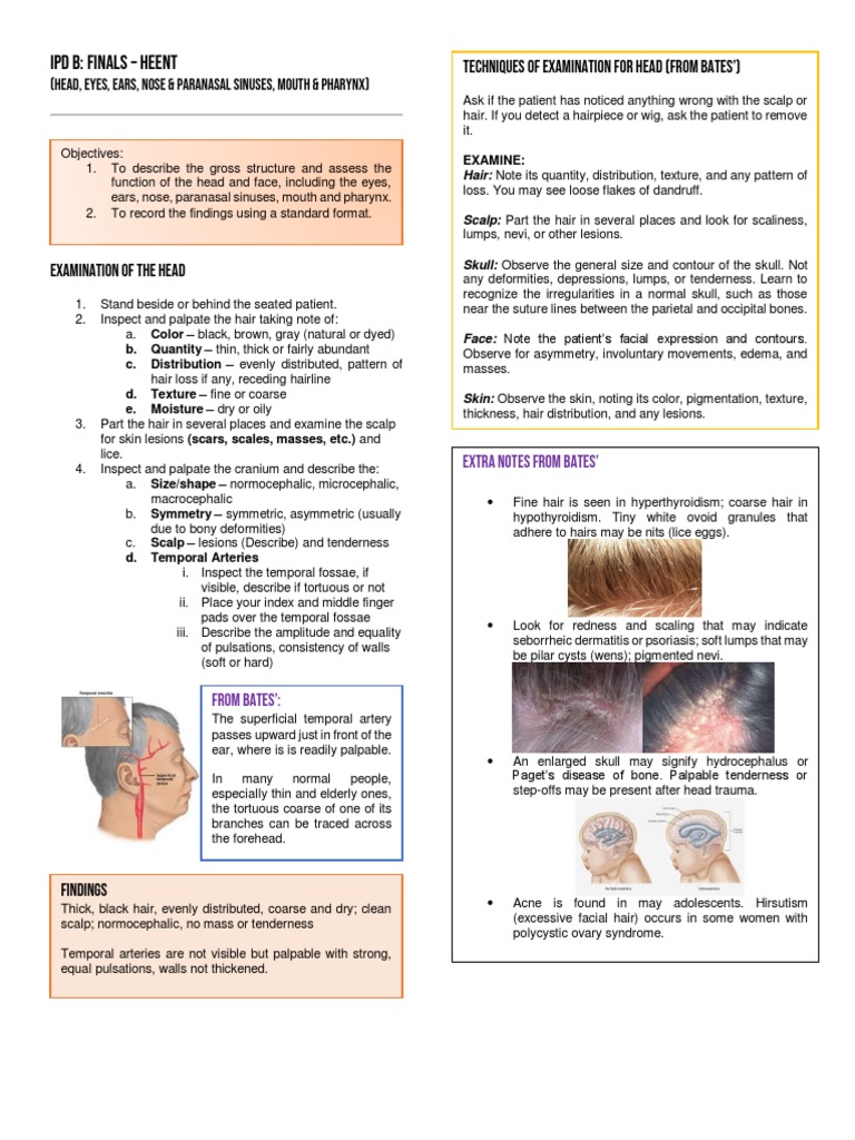 Ipd B: Finals - Heent: Techniques of Examination For Head (From Bates ...
