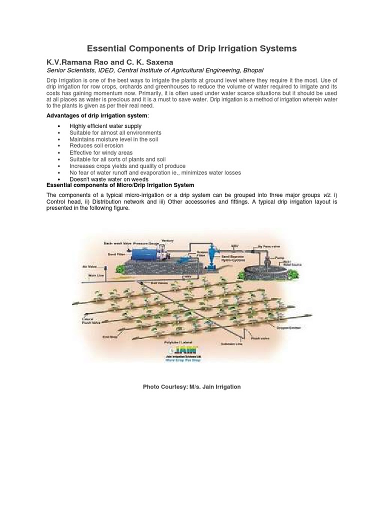 5 Essential Components of Drip Irrigation Systems | PDF | Irrigation ...