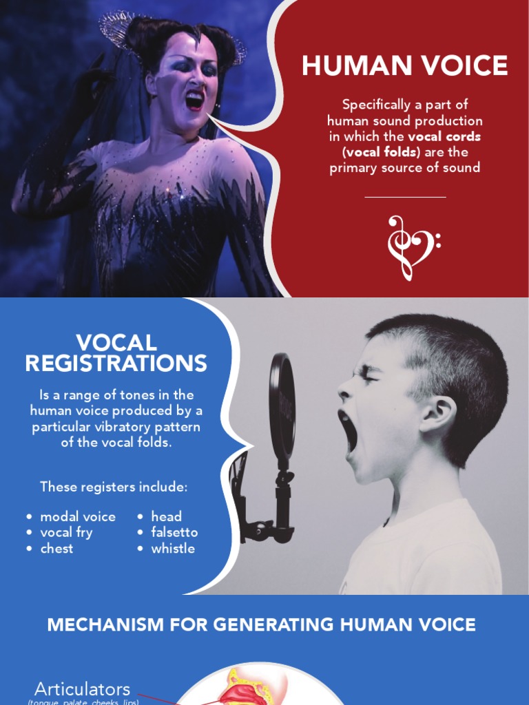 Human Voice: Specifically A Part of Human Sound Production in Which The ...