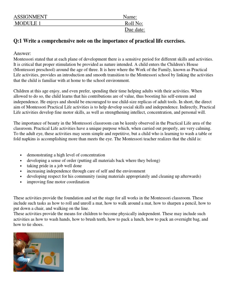 Q:1 Write A Comprehensive Note On The Importance of Practical Life ...