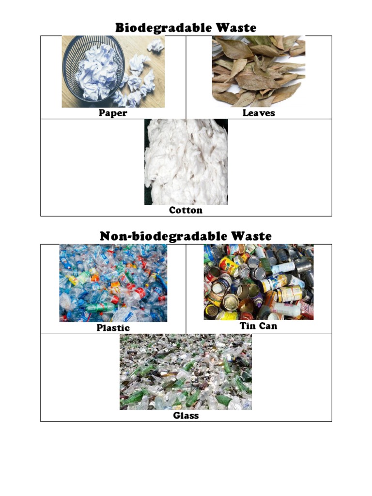 Biodegradable Waste | PDF