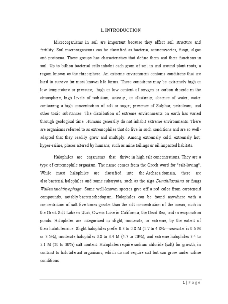 Halotolerant Bacteria | PDF | Microorganism | Archaea