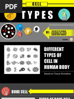 Specialised Animal Cells - Living Organisms - KS3 Biology - BBC ...