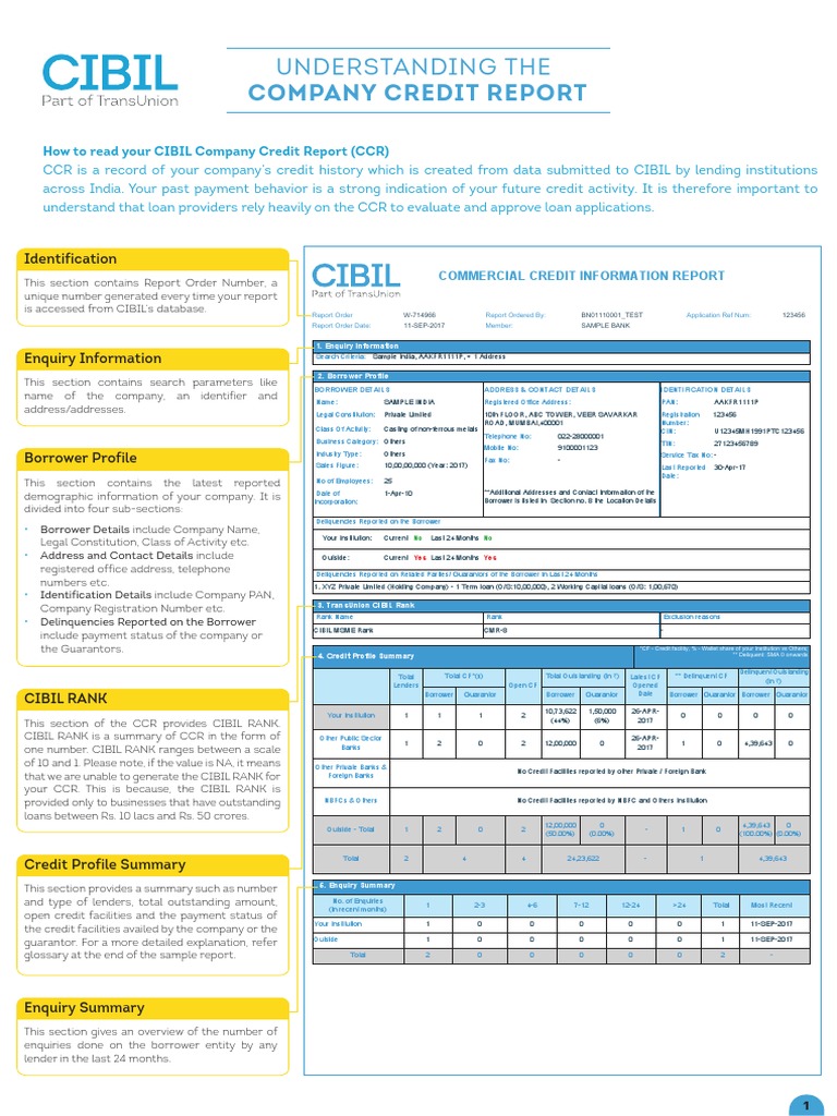 Understand Your Cibil Company Credit Report | PDF | Loans | Credit History
