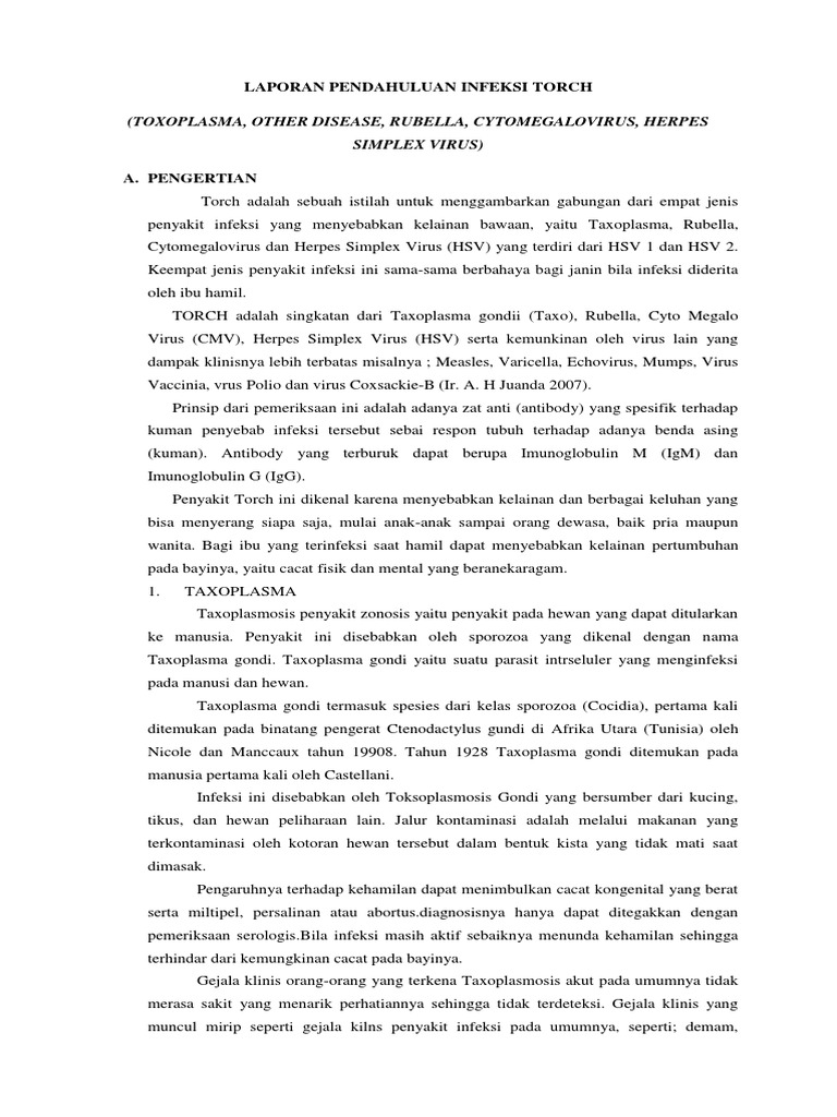 INFEKSI TORCH | PDF
