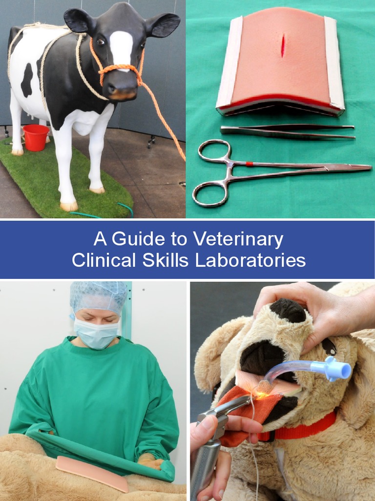 Veterinary Clinical Skills Laboratory Guide | PDF | Veterinary ...