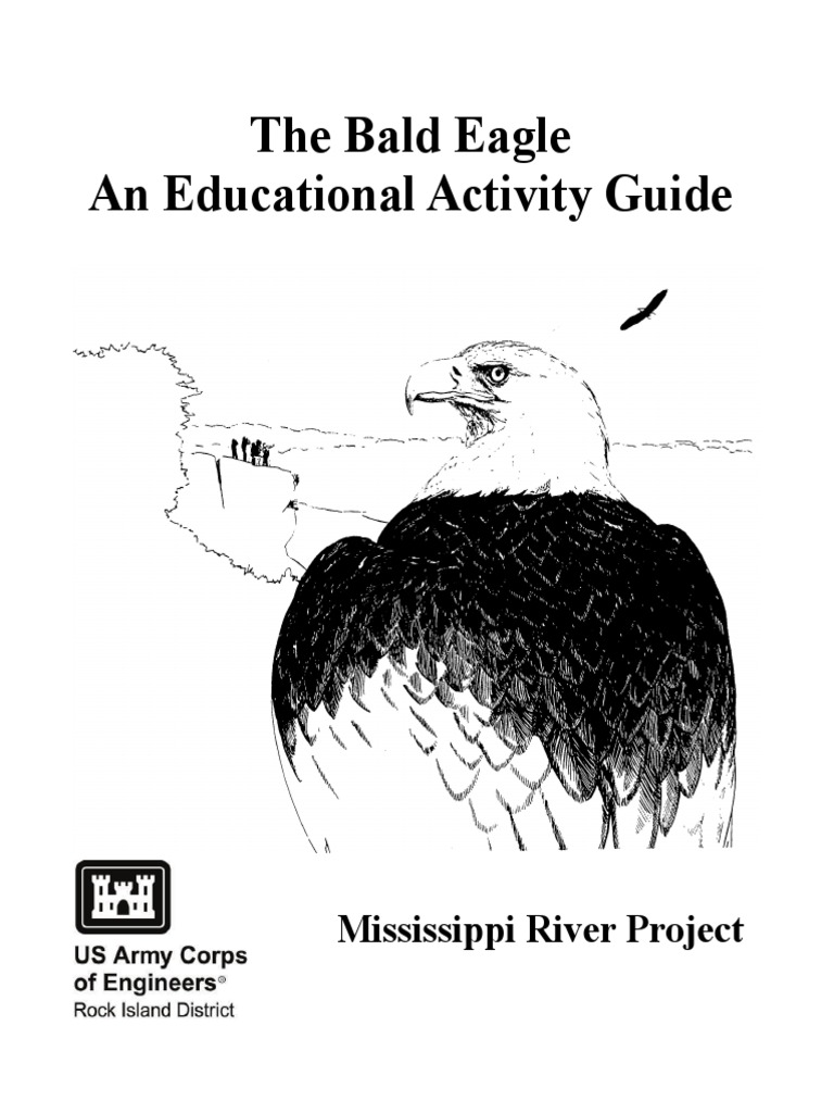 Bald Eagle Educational Activity Guide | PDF | Bald Eagle | Predation