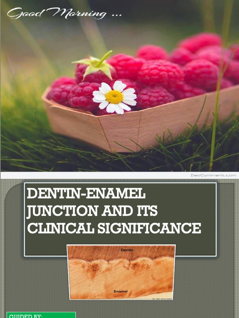 Dej and Its Signifance | PDF | Dentin | Tooth Enamel