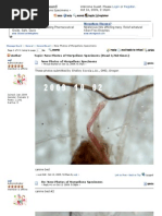 Morgellons Morphology Confirmed. | PDF | Wellness | Medical