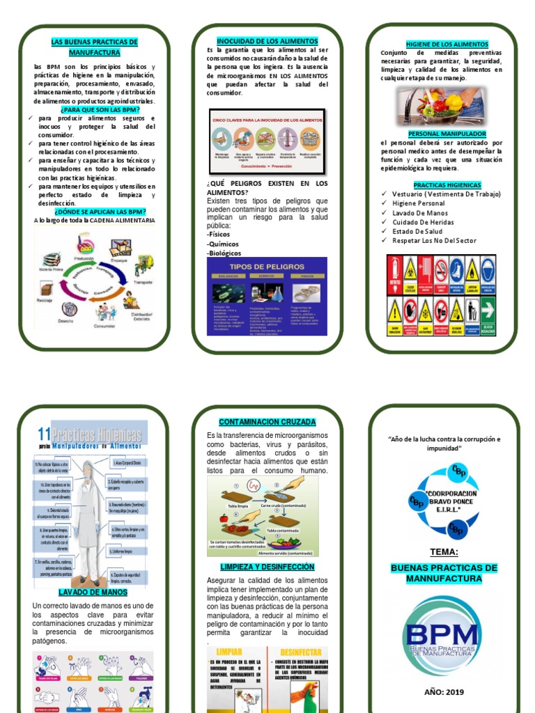 Triptico BPM | PDF | Seguridad alimenticia | Alimentos