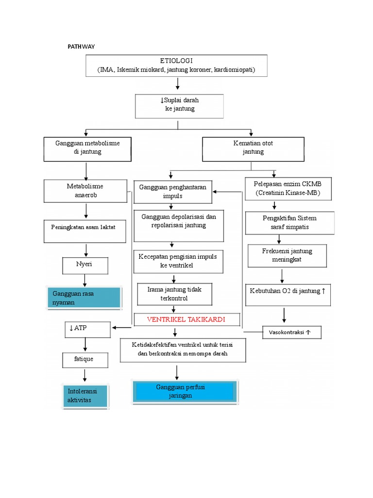 Pathway VT 2 | PDF