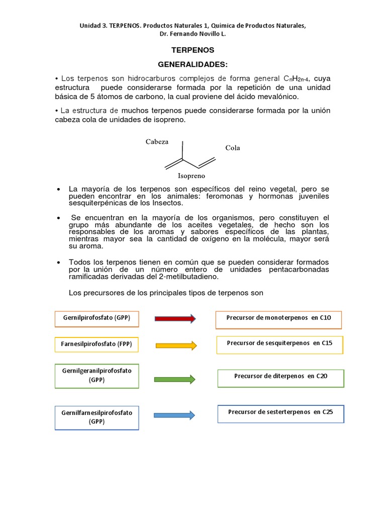 Terpenos: Estructura y Clasificación | PDF | Carotenoide | Compuestos ...