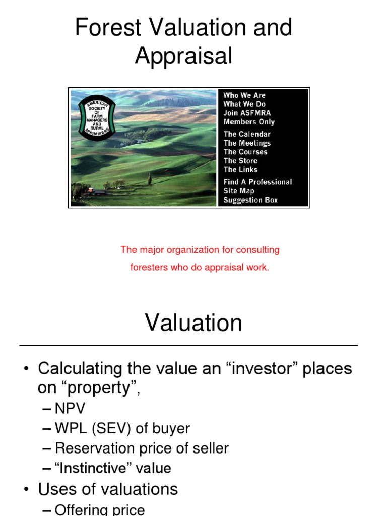Forest Valuation and Appraisal: The Major Organization For Consulting ...