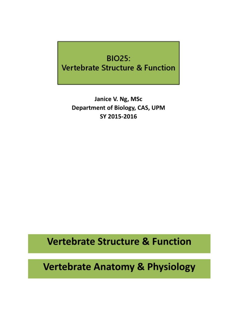 Bio25: Vertebrate Structure & Function: Janice V. NG, MSC Department of ...
