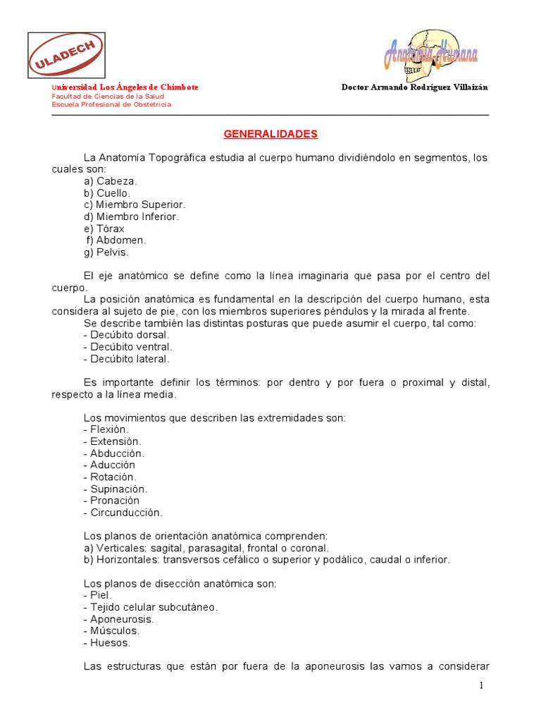 Huesos MS PDF | PDF | Sistema esquelético | Anatomía