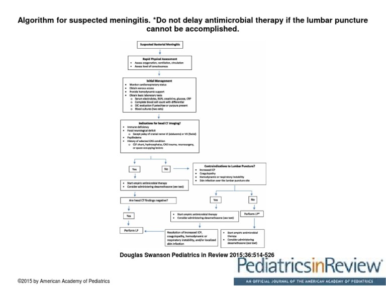 Alogaritma Diagnosis Meningitis | PDF