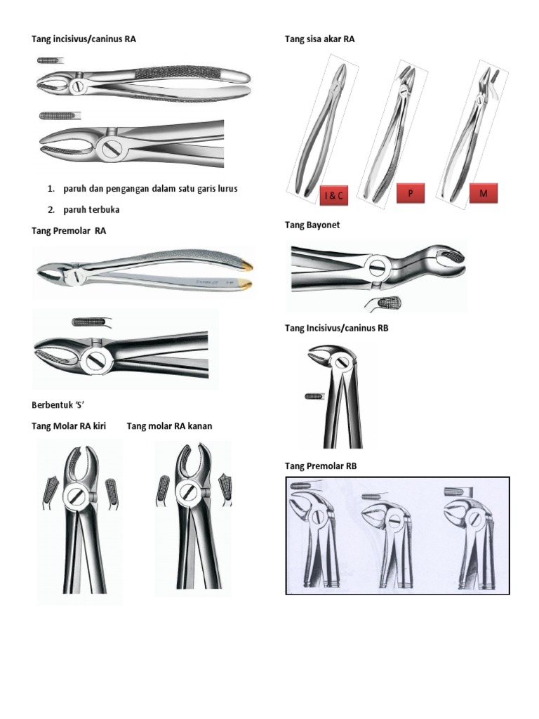 Tang Incisivus/caninus RA Tang Sisa Akar RA: 1. Paruh Dan Pengangan ...