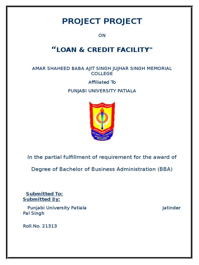 Project On Loan | PDF | Banks | Loans