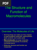 Macromolecule Summary Chart - Completed | PDF | Macromolecules | Cell (Biology)