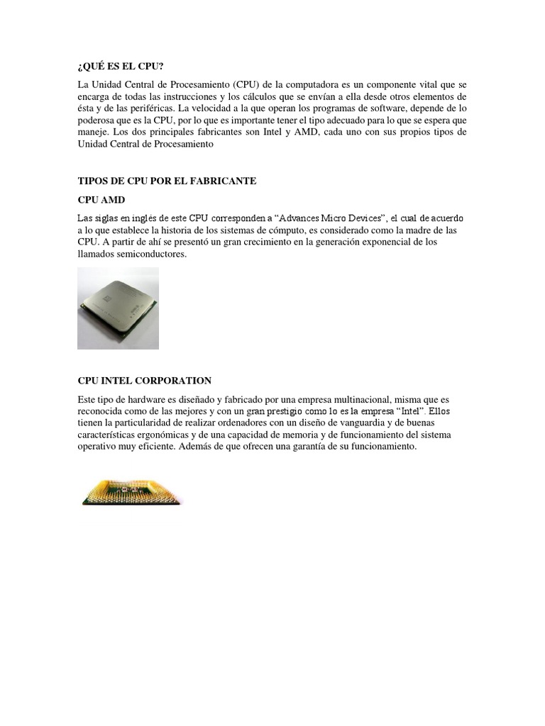 Tipos de CPU | PDF | Unidad Central de procesamiento | Micro ...