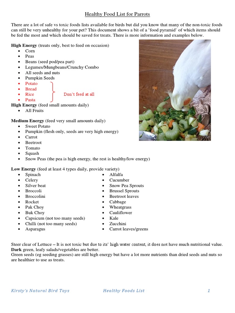 Healthy Food List For Parrots - KirstyHall | PDF | Birds | Healthy Diet