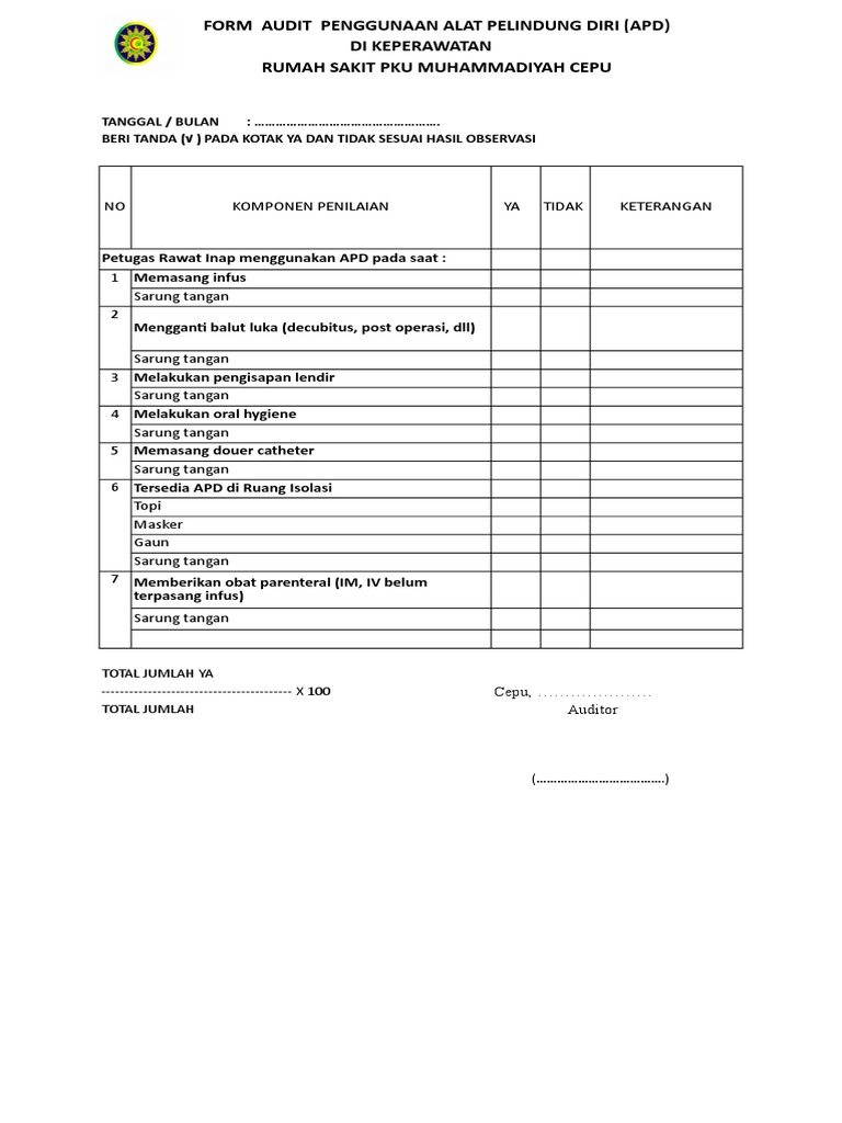 Form Audit Apd | PDF