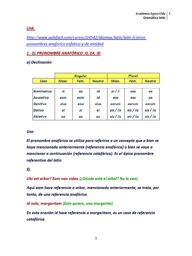 Compendio de Gramática Latina | PDF | Verbo | latín
