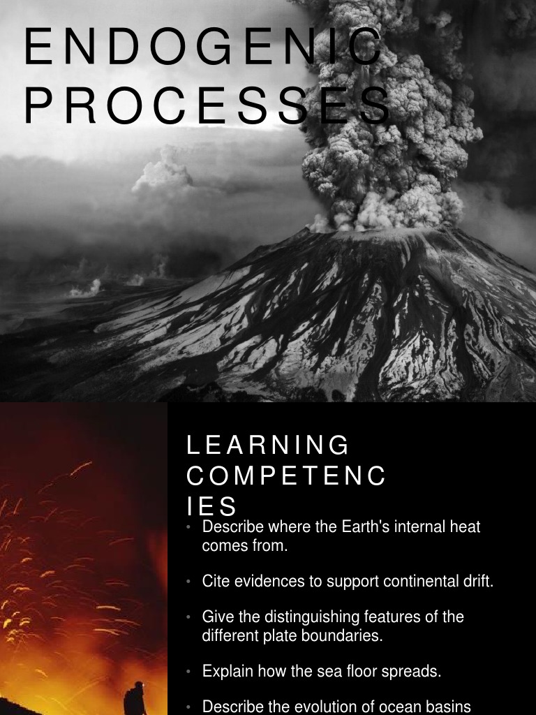 Chapter 6 Endogenic Process | PDF | Plate Tectonics | Volcano