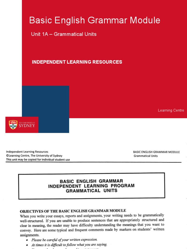 Basic English Grammar Module: Unit 1A - Grammatical Units | PDF