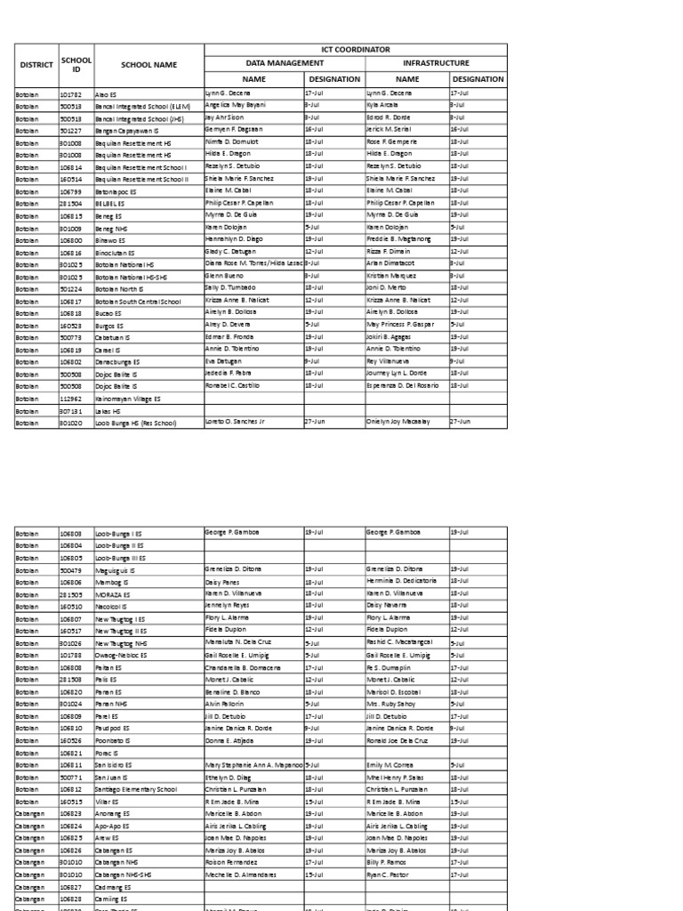 School Ict Designation | PDF