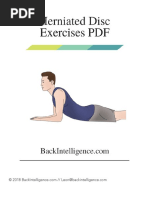 Printable Sciatica Exercise Guide | PDF | Diseases And Disorders ...